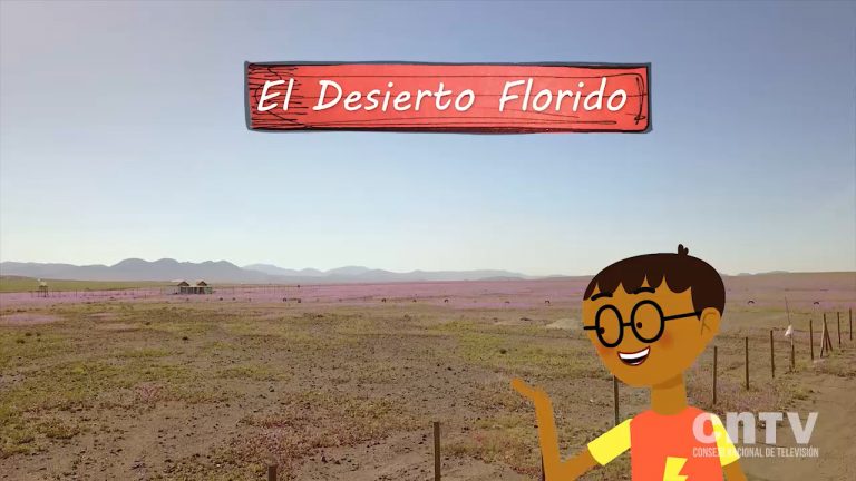 Los epew, relatos mapuche - CNTV Infantil