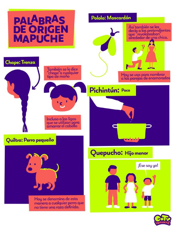 Infografía Palabras de origen Mapuche - CNTV Infantil