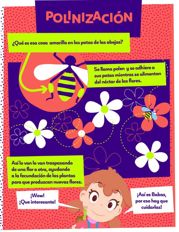 Infografía La polinización - CNTV Infantil