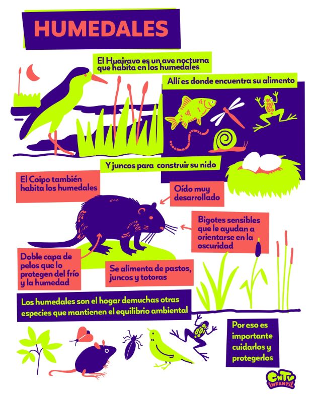 Infografía Humedales - CNTV Infantil